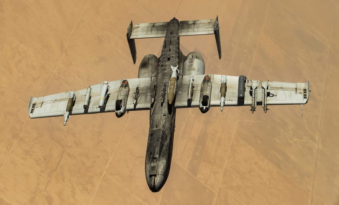 20 Fascinating Warthog Facts That You Probably Didn't Know