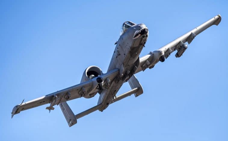 20 Fascinating Warthog Facts That You Probably Didn't Know