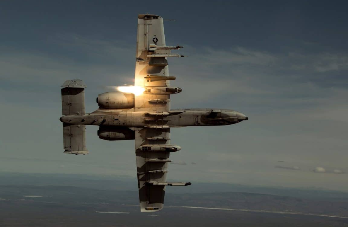 20 Fascinating Warthog Facts That You Probably Didn't Know