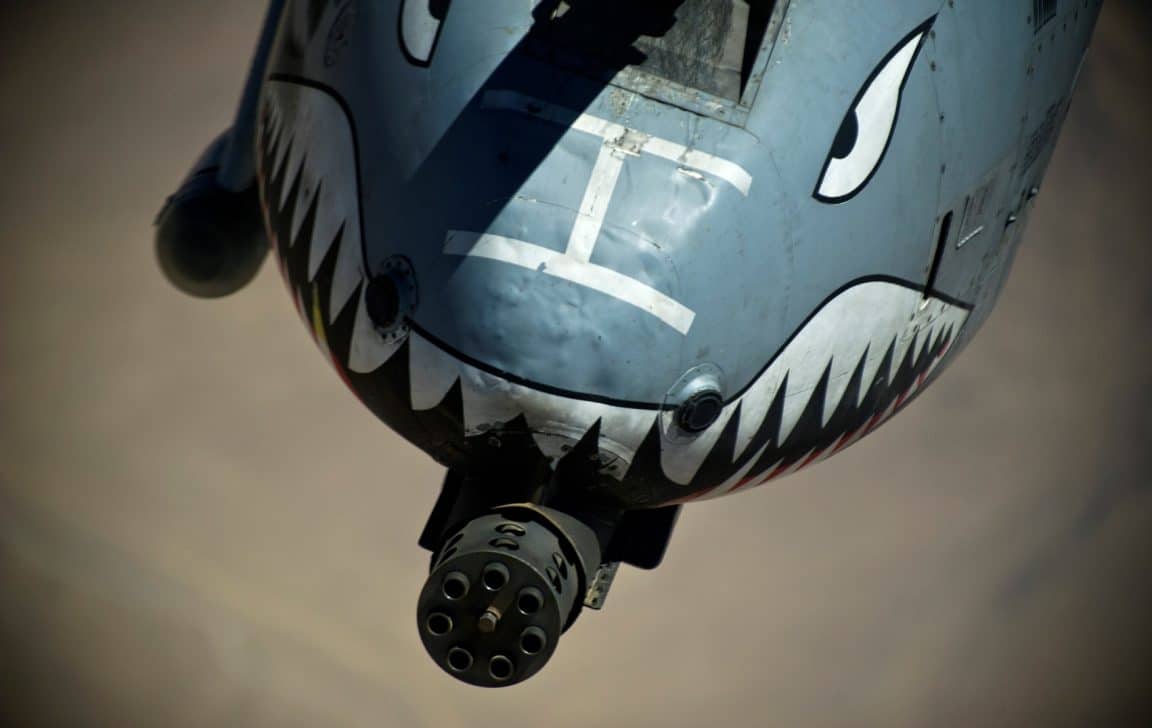 20 Fascinating Warthog Facts That You Probably Didn't Know