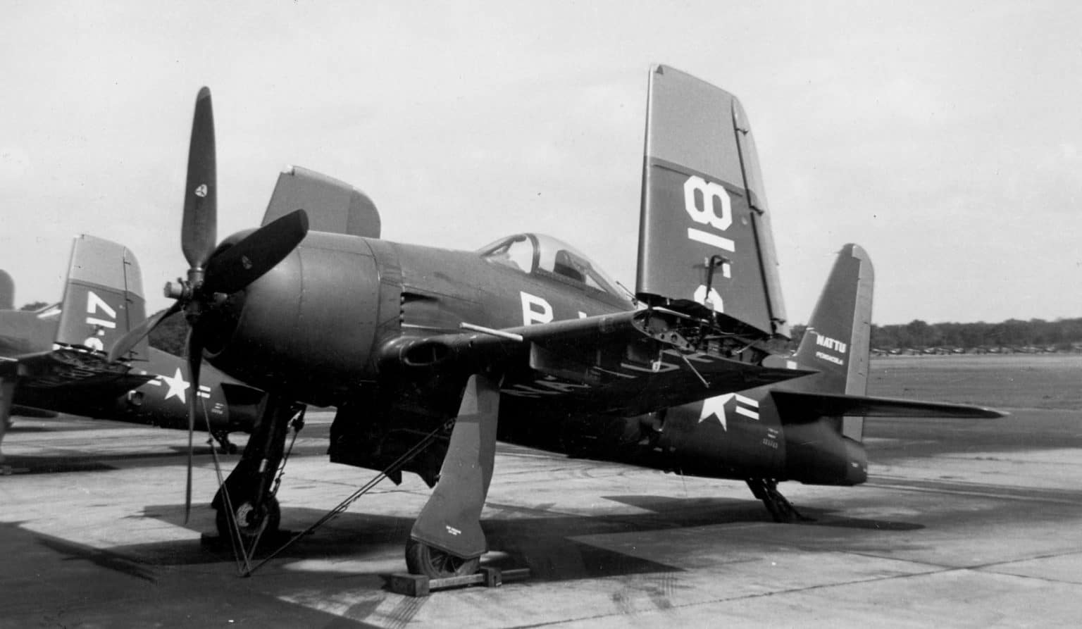 The Bearcat: The Last And The Best Of Grumman's Propeller Driven Cats