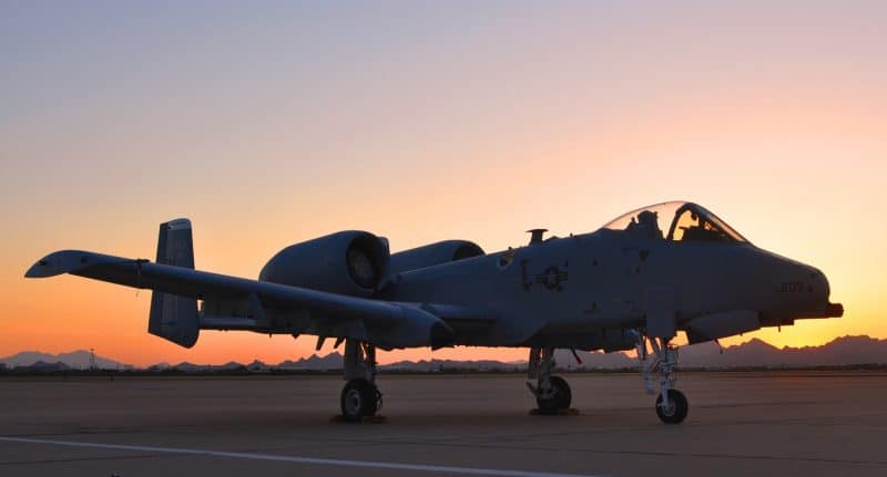 Unsolved Mysteries: The Strange Case Of The Wayward Warthog