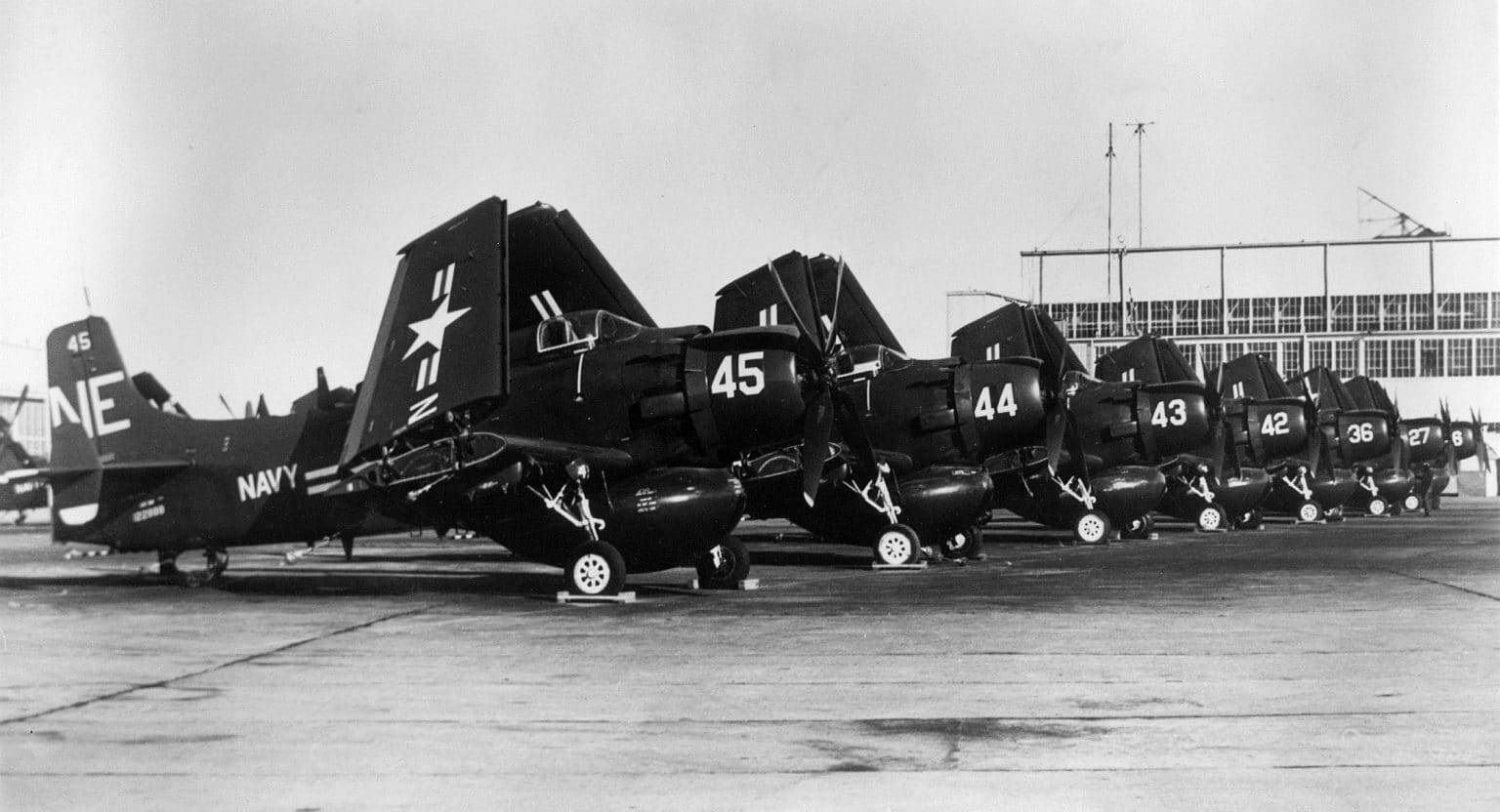 WATCH: VAW-123 Screwtops Chronicled Their Record-Breaking Deployment