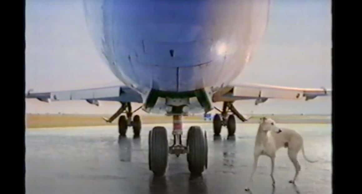 The Airline That Featured A Greyhound Peeing On A 727