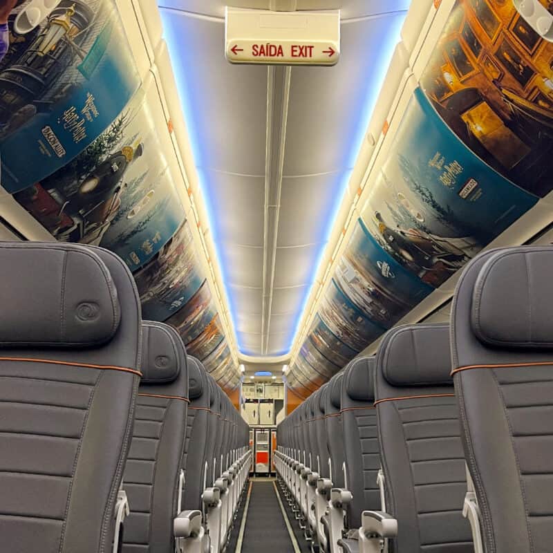 Wingardium Leviosa! A Harry Potter-Themed 737 MAX 8 Takes To The Skies