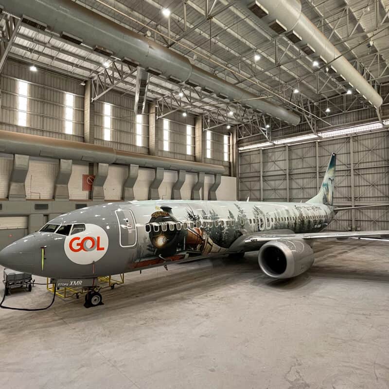 Wingardium Leviosa! A Harry Potter-Themed 737 MAX 8 Takes To The Skies