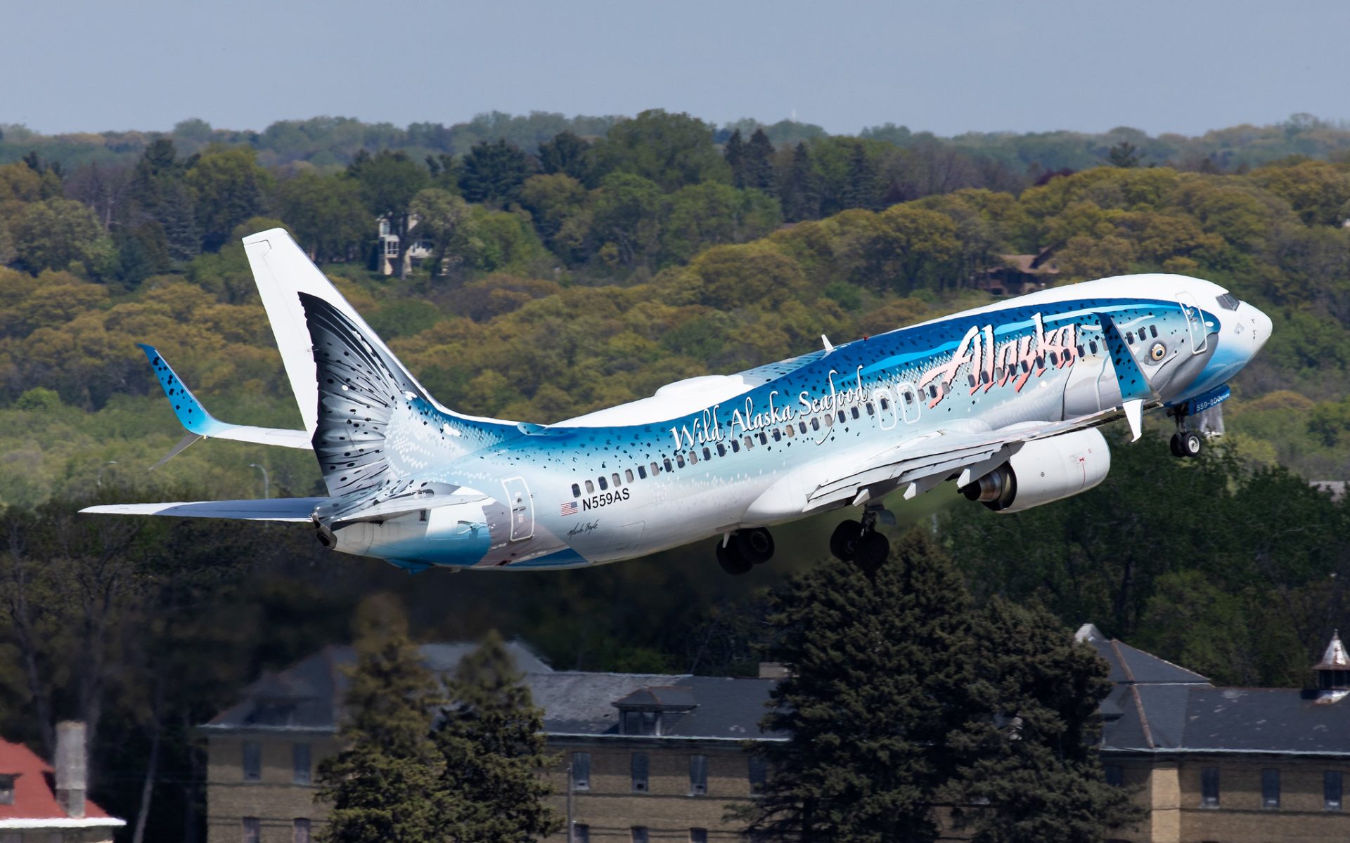 This Famous Flying Fish 737 Will Soon Disappear From The Skies