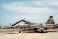 Northrop F-5: The Skoshi Tiger Project