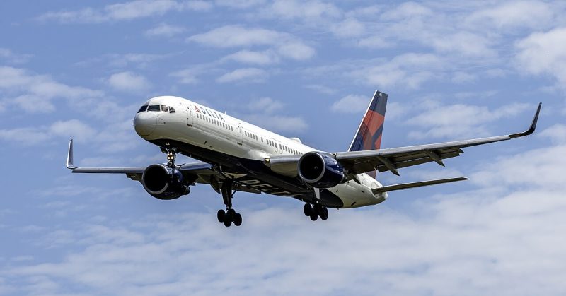 Passenger Criticizes Delta For Giving His First Class Seat To Dog