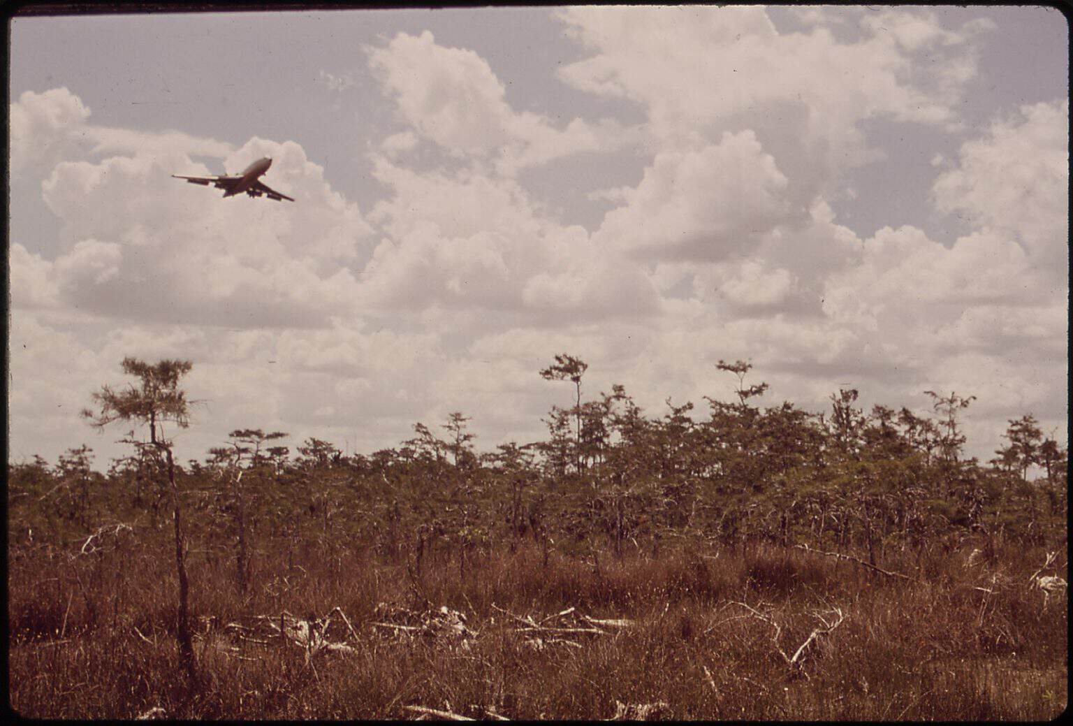 When The World's Largest Airport Almost Came To The Everglades
