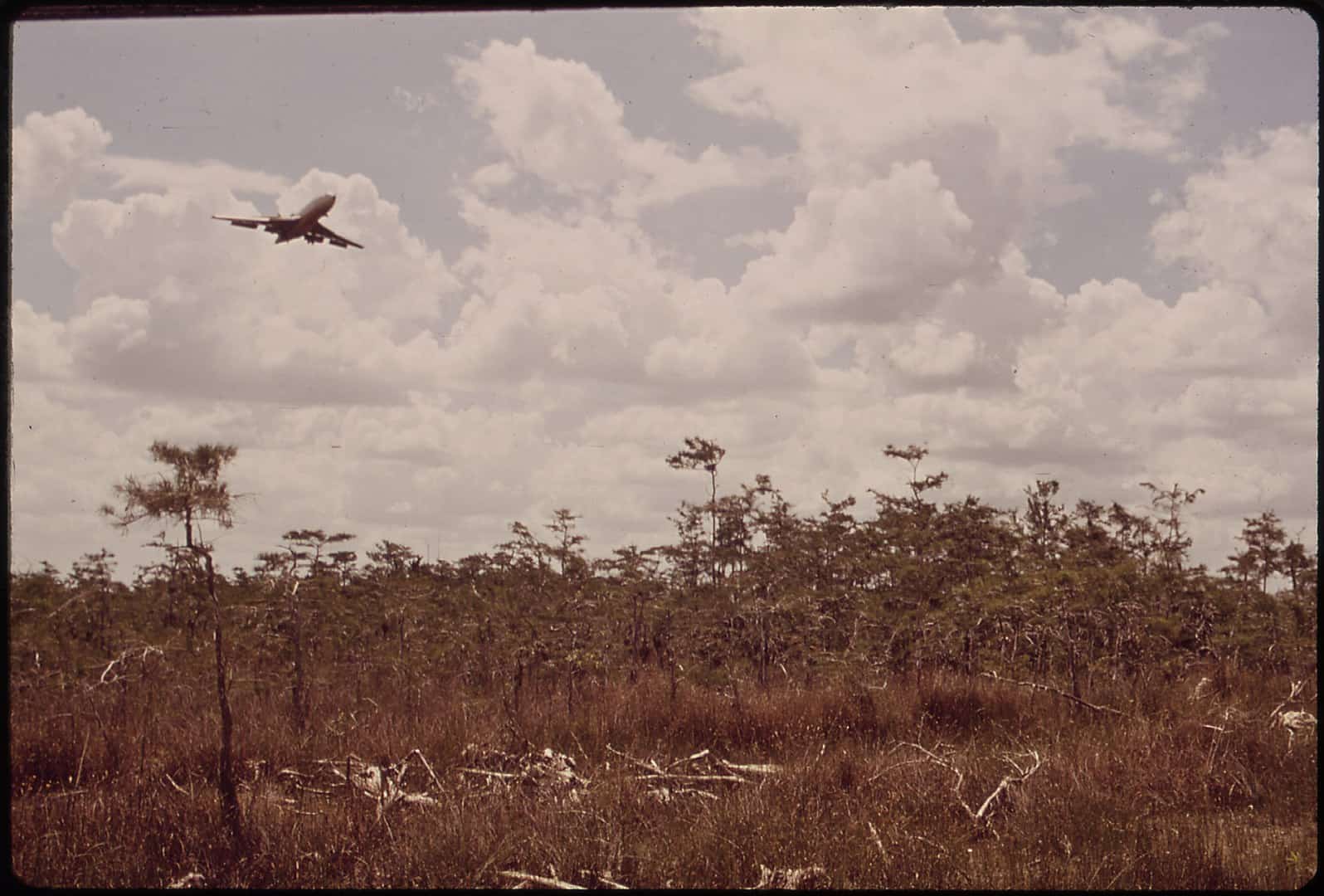 When The World's Largest Airport Almost Came To The Everglades